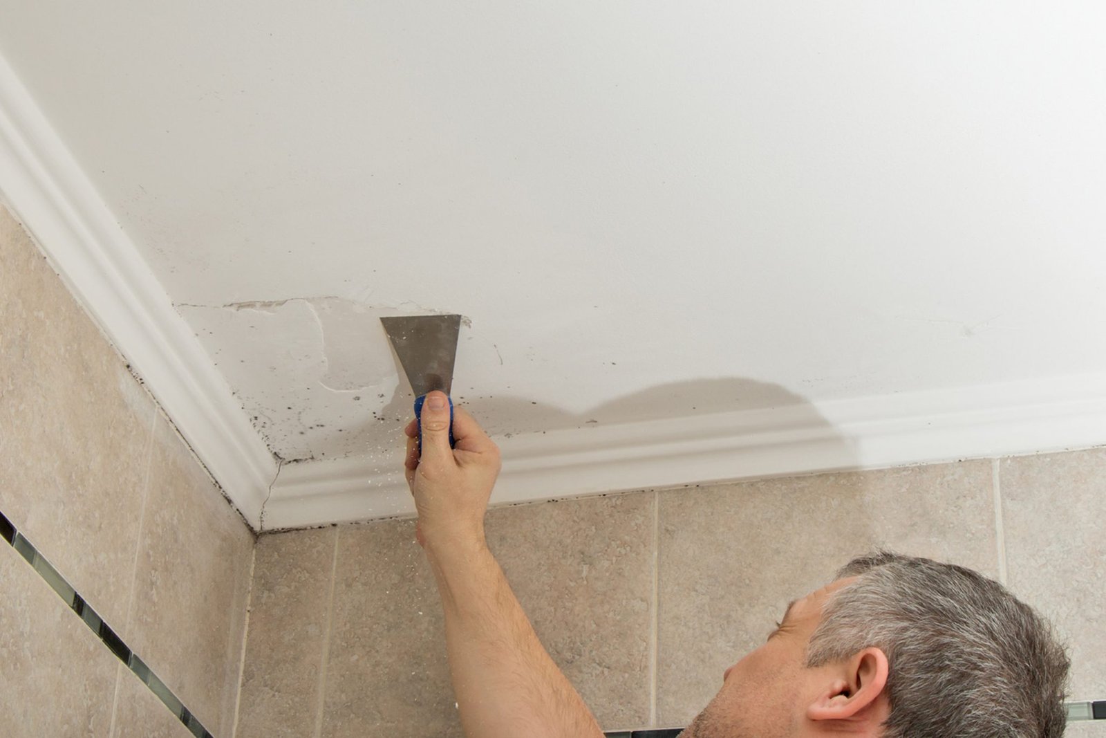 How To Find Out The Best Damp Proofing Service Providers? - Dea5